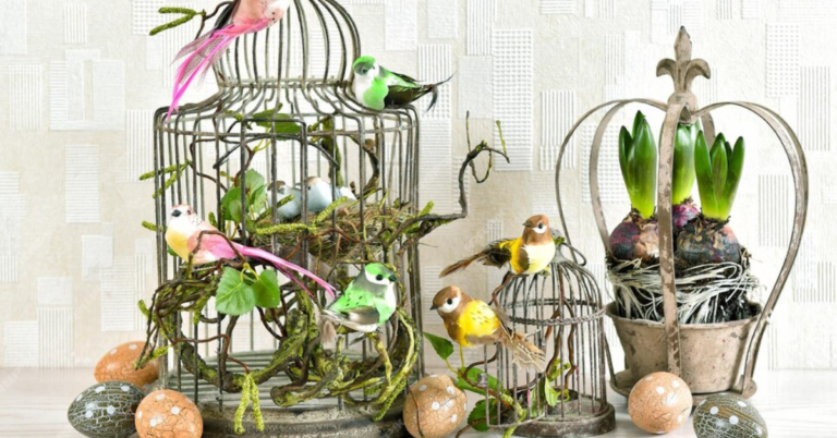 15 Handmade Birdcage Ideas to Beautify Your Space