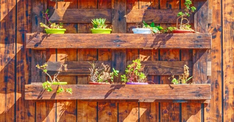 15 DIY Outdoor Shelf Ideas for a Stylish and Organized Space