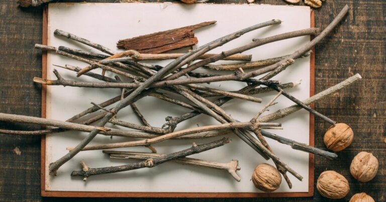 15 Cool Twig Craft Ideas to Create Stunning DIY Décor