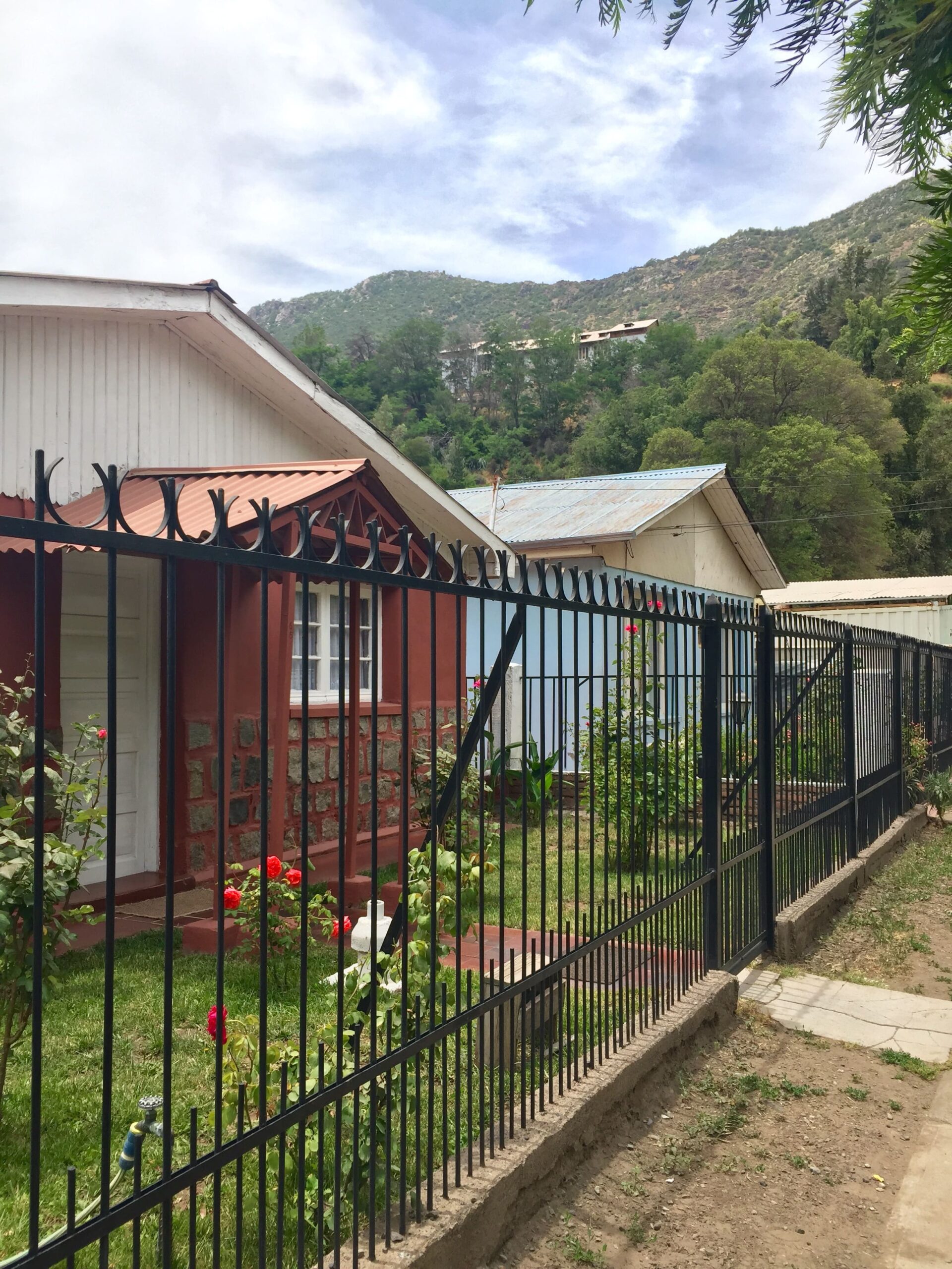 15 Backyard Fence Ideas to Transform Your Outdoor Space - Homezille